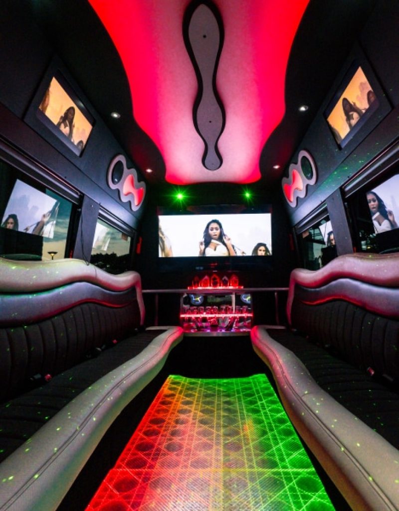 Party Bus Fleet Sydney | Luxury Party Buses for Every Occasion